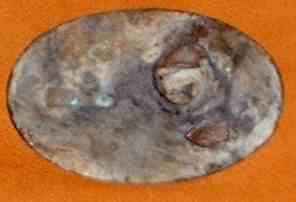 Vintage Centennial Buckles