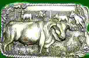 History of Belt Buckles, Belt Buckle Blog, Value of Buckles