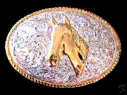 Vintage Centennial Buckles